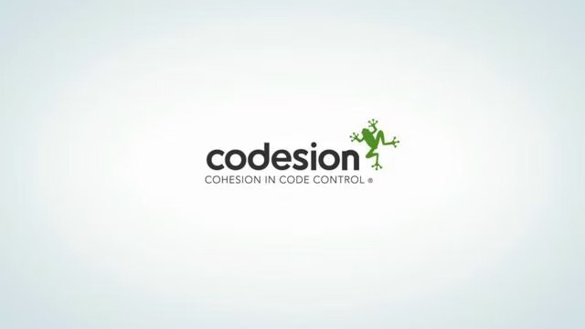 Codesion – Picturelab